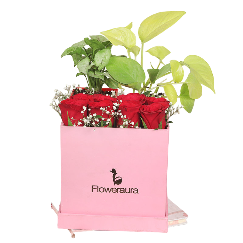 Good Luck Flower Pack – Plantshop