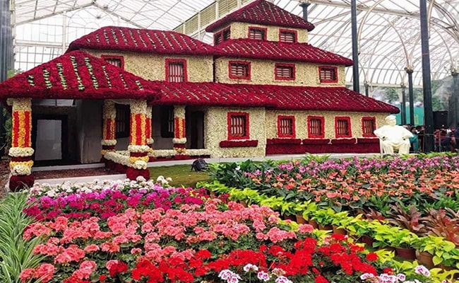 What is it actually plant need – Plantshop